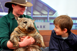 What's inside the Best of Perth Combo Pass 5