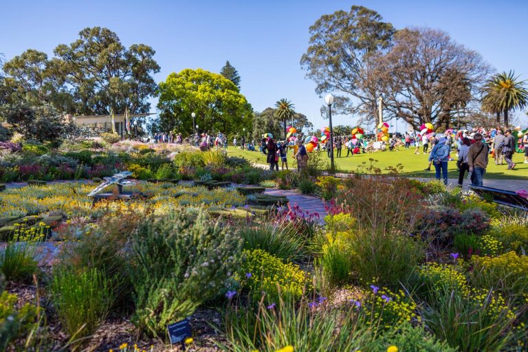 Wildflower season in Western Australia