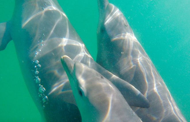 Perth Sightseeing Tours | Discount Sightseeing Perth WA